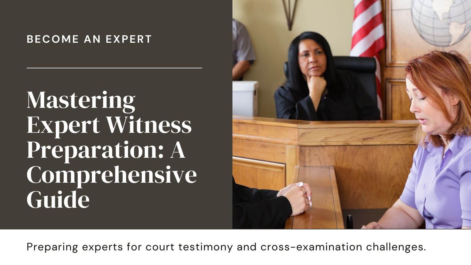 An Experts Guide to Expert Witness Preparation - Med Legal Pro